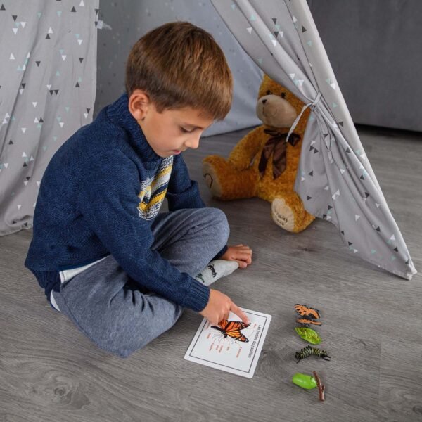 PACHA ECHECS® – Jeu de Cycle de vie d’insectes – Matériel Éducatif ...